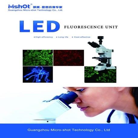 Led fluorescence attachment for Upright microscope | PDF