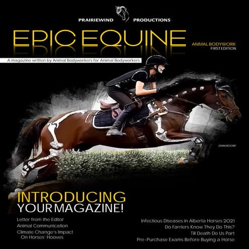 Epic Equine Animal Bodywork Magazine | PDF