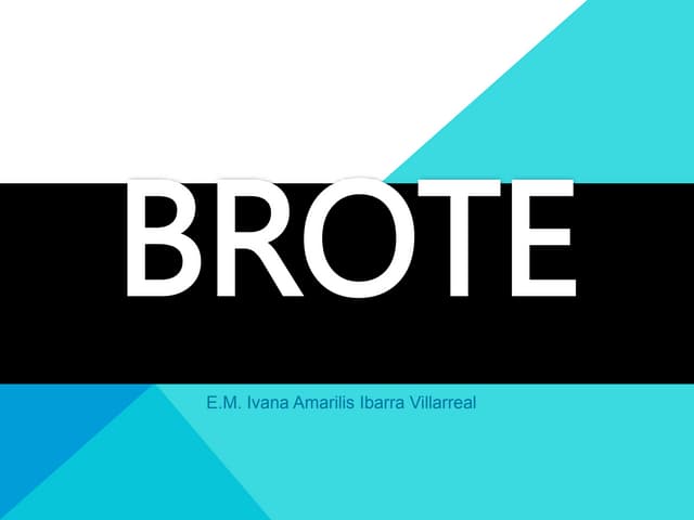 EXPLICACIÓN EN PRESENTACIÓN DE UN BROTE EN EPIDEMIOLOGÍA.pptx