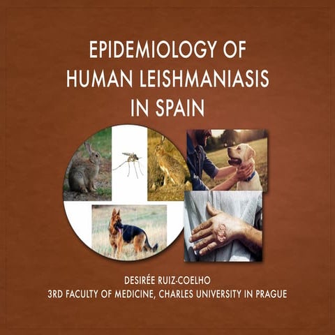 Epidemiology of Human Leishmaniasis | PDF