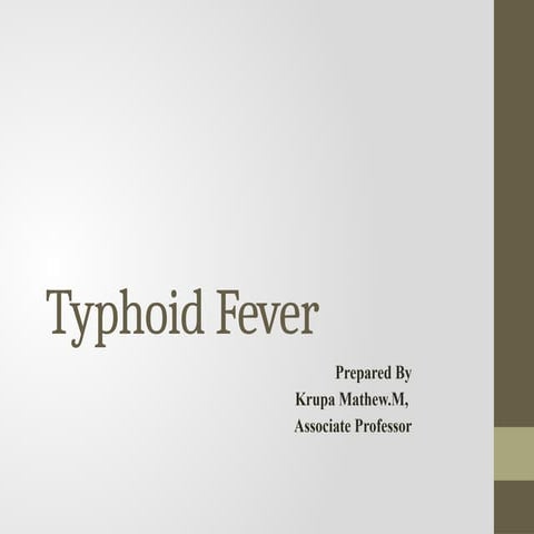 Typhoid | PPTX