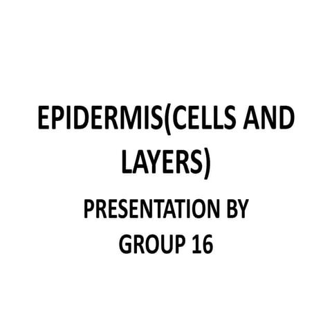 EPIDERMIS(CELLS AND LAYERS).pptx by HFNMTC | PPTX