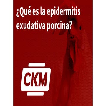 ¿Qué es la epidermitis exudativa porcina? | PDF