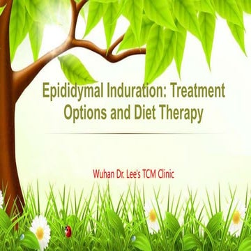 Epididymal Induration- Treatment Options and Diet Therapy.pptx