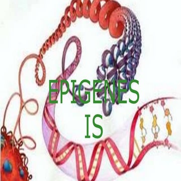 Epigenesis | PPTX