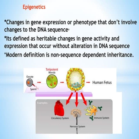 Epigenetic | PPTX | Biotech and Biomedical Industry | Industries