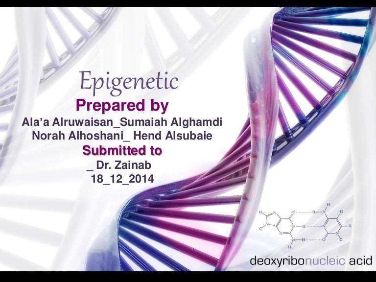 Epigenetics Examples