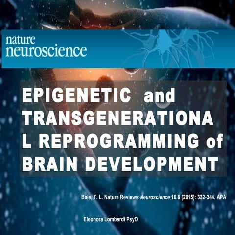 Epigenetica e riprogrammazione | PPT