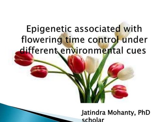 Flowering | PPT