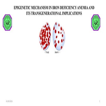 epigenetic in iron deficiency, a seminar presentation in the department ...