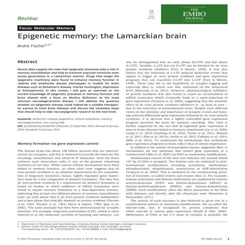 Epigenetic memory the lamarckian brain embj.201387637.full