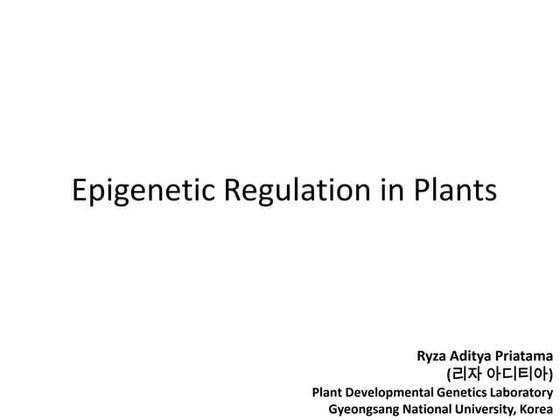 Albugo presentation plant pathology lecture. PPTX | PPT