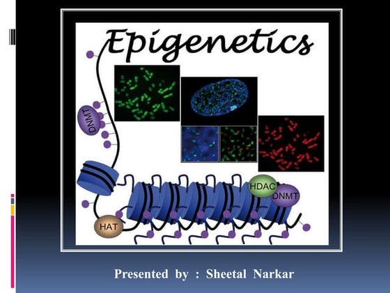 Introduction to Epigenetics | PPT