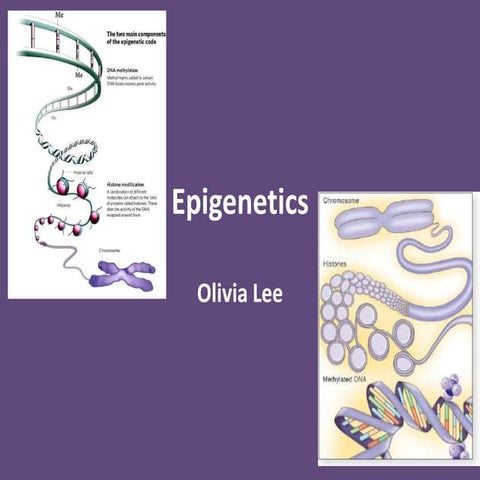 Epigenetics | PPTX