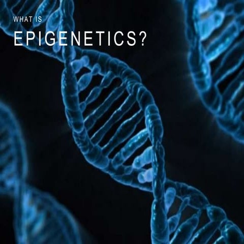 What is Epigenetics | PPTX