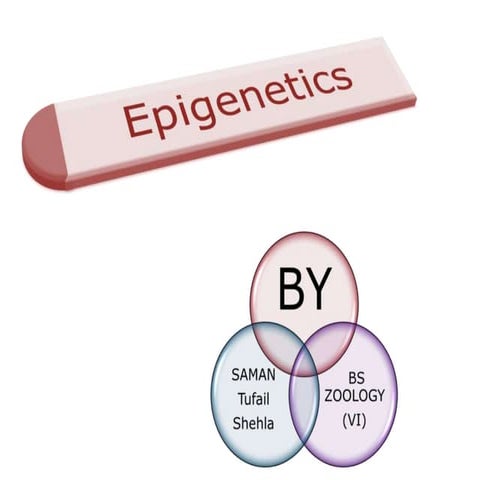Epigenetics and The Molecular Mechanisms | PPTX | Genetics | Science