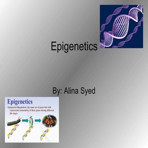 Epigenetics bio proj | PPT