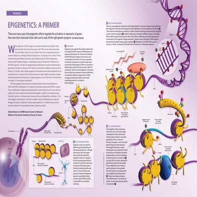 Primer on Epigenetics | PDF