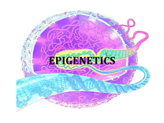 Epigenetics | PPT