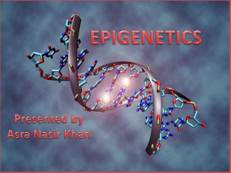 Epigenetics Ppt