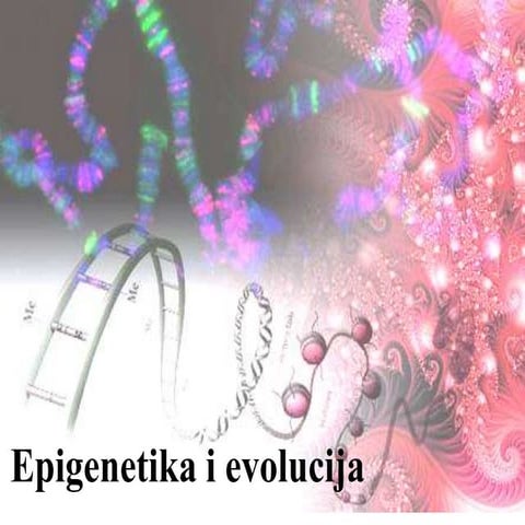 Epigenetika i evolucija molekulski mehanizmi regulacije genske ...