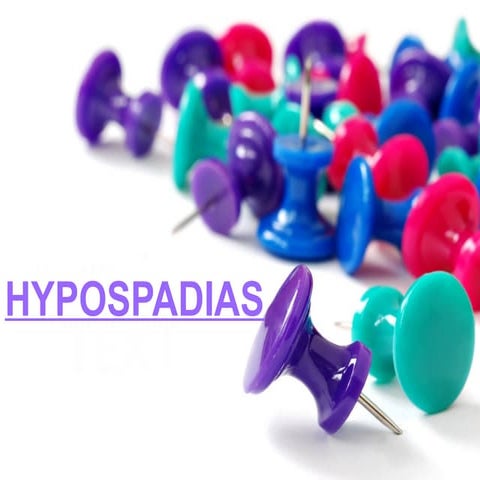 care of children with Epispadias,hypospadias,ectopia vescica | PPT