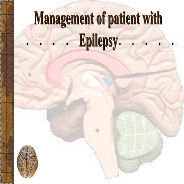 Epilepsy | PPT