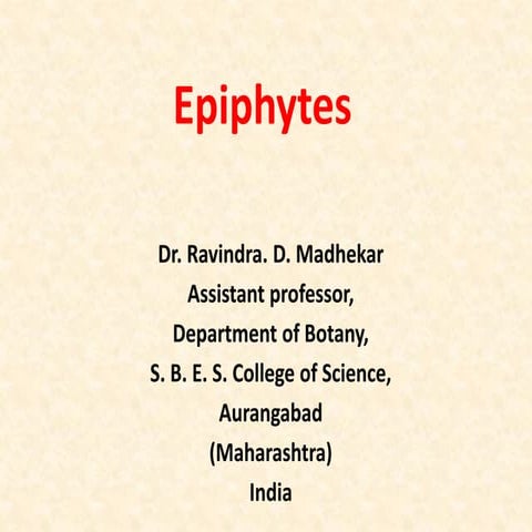 Epiphytes | PDF