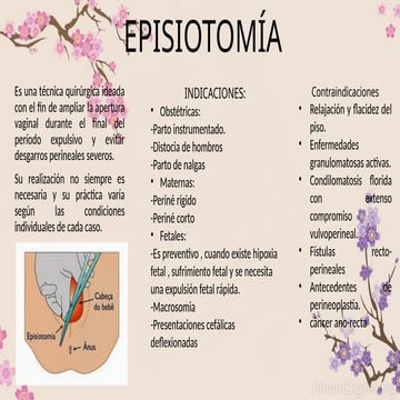 EpisiotomÍa Centro De Salud Maritz Campos Diaz Pptx