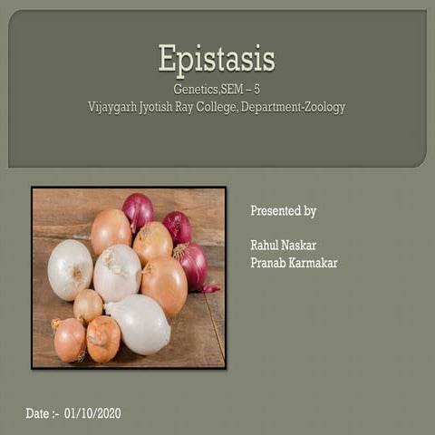 Recessive Epistasis | PDF
