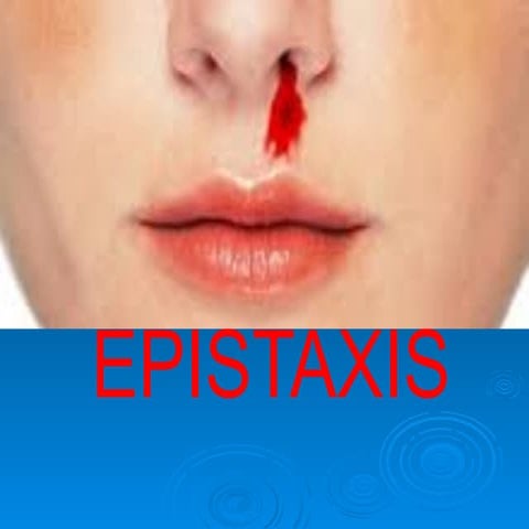 VASCULAR ANATOMY OF THE NOSE.pdf