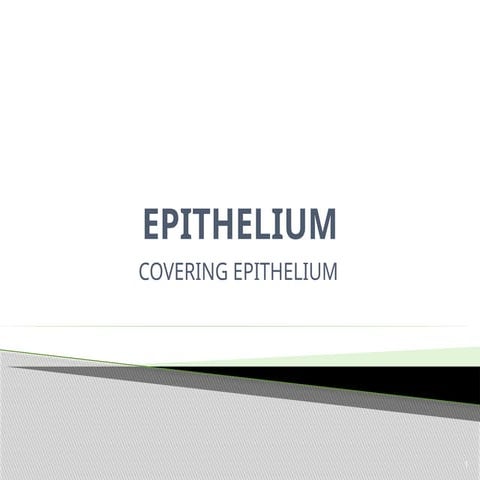 ALIMENTARY SYSTEM and its metabolic processess 1.pptx