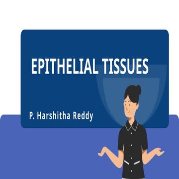 Epithelial Tissue Overview Biology Ppt Pptx