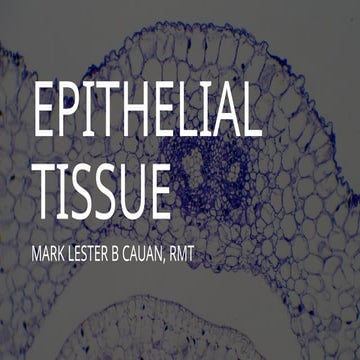 HISTOLOGY - THE EPITHELIAL TISSUE LESSON FOR COLLEGE | PPTX