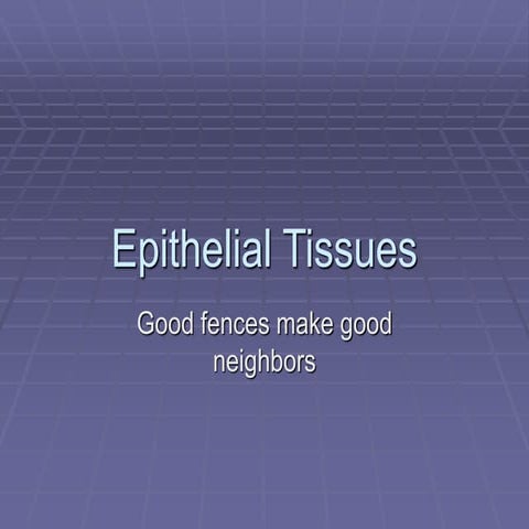 Epithelial tissue | PPT