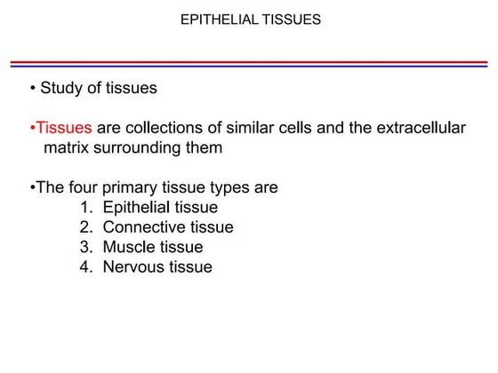 Anatomy and physiology of human tissues.pptx | Biological Sciences | Science