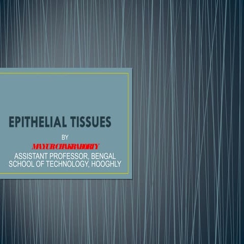 Epithelium | PPTX