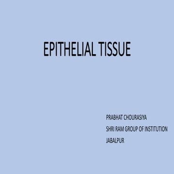 Epithelial Tissue | PPTX | Skin and Dermatology | Diseases and Conditions