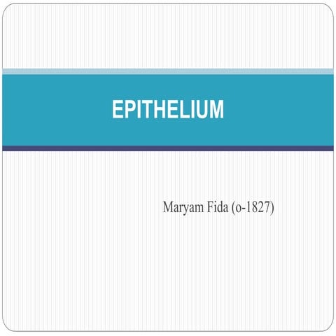 Epithelium Pptx
