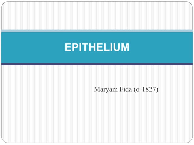 Epithelium Pptx
