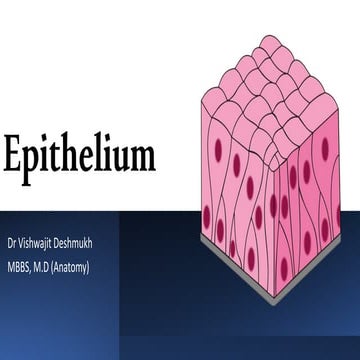 Epithelium.pptx