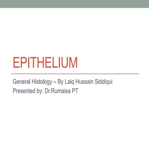 Epithelium_Histology_Presentation by Dr.Rumaisa PT | PPTX