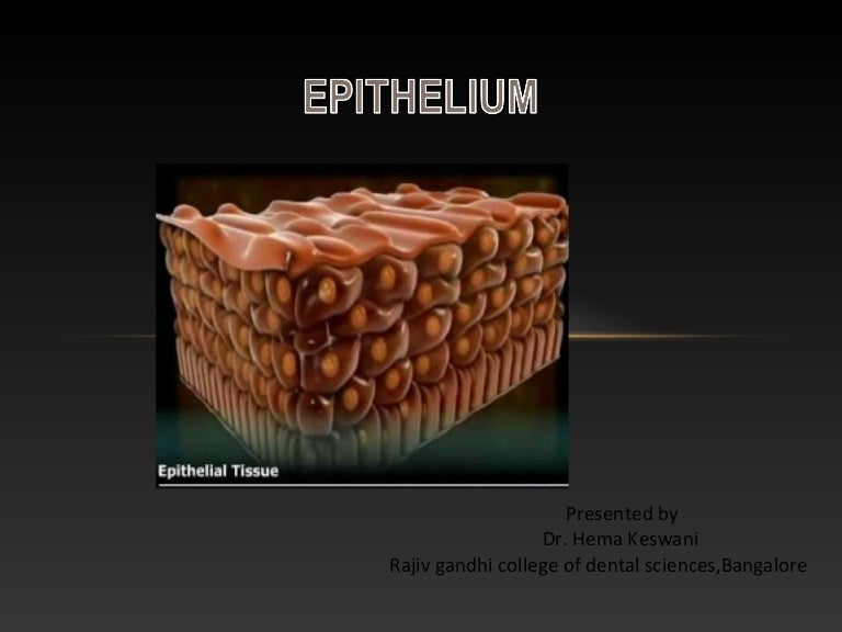 Epithelium ppt...