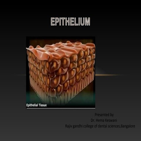 Epithelium ppt... | PPT