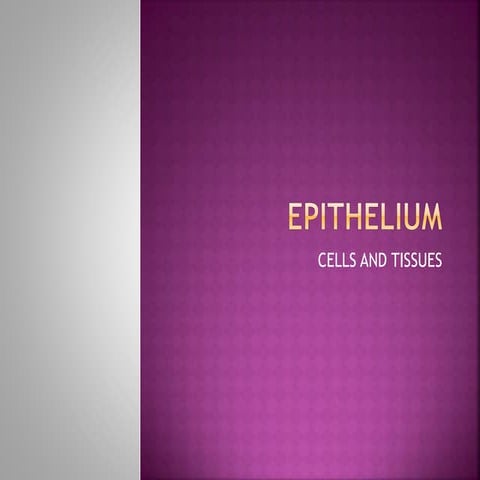 Epithelium Pptx