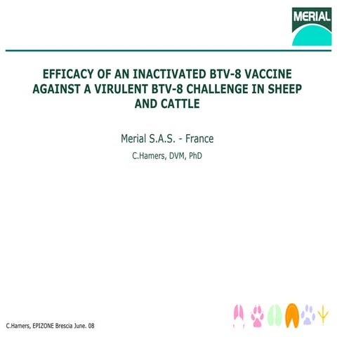 EFFICACY OF AN INACTIVATED BTV-8 VACCINE AGAINST A VIRULENT BTV-8 ...