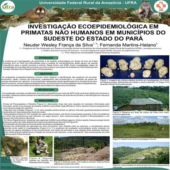 Epizootia | PDF | Zoos & Aquariums | Attractions