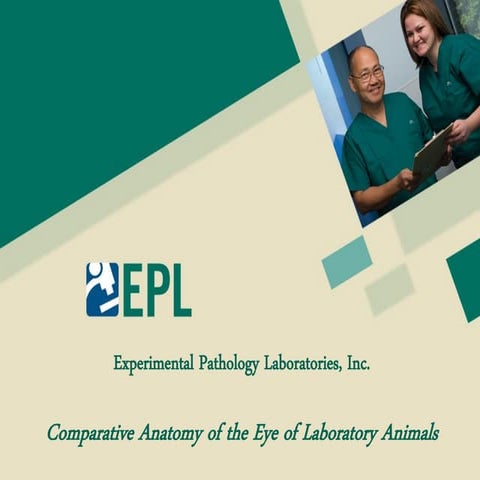 EPL, Inc. - Comparative Anatomy of the Eye | PDF | Eye and Vision ...