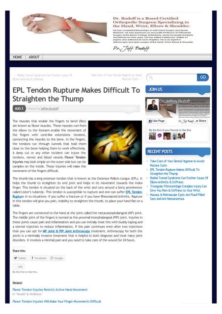 Gluteal muscles. | PPT