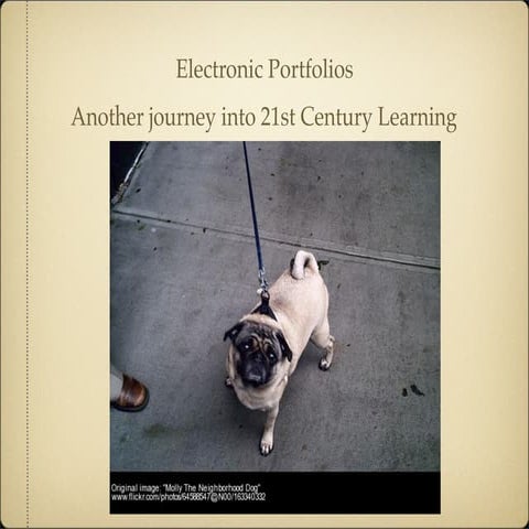 Eportfolios | PDF | Online Education | Education